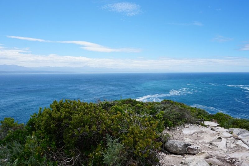 Robberg Nature Reserve - Wandern an der Garden Route • Road Traveller