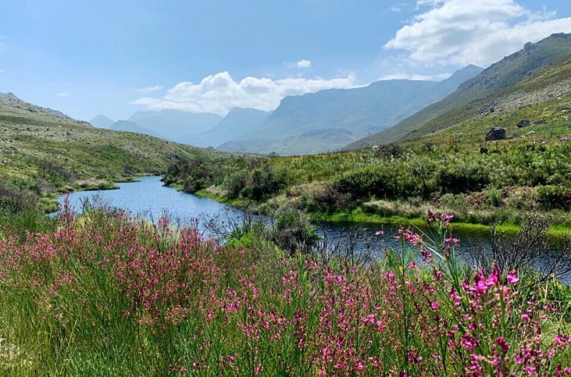 Palmiet River Trail: Wandern im Kogelberg Nature Reserve