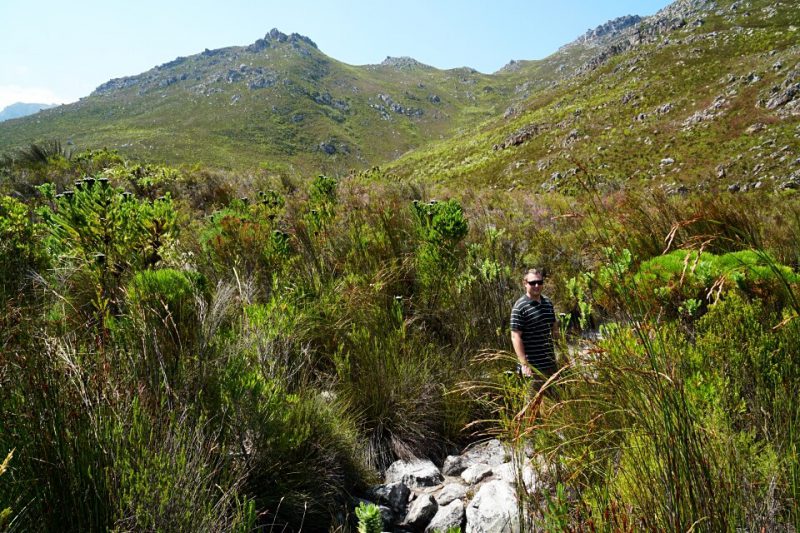 Palmiet River Trail: Wandern im Kogelberg Nature Reserve