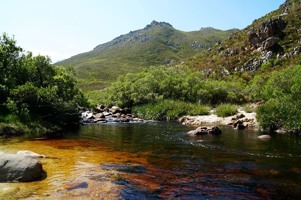 Palmiet River Trail: Wandern im Kogelberg Nature Reserve