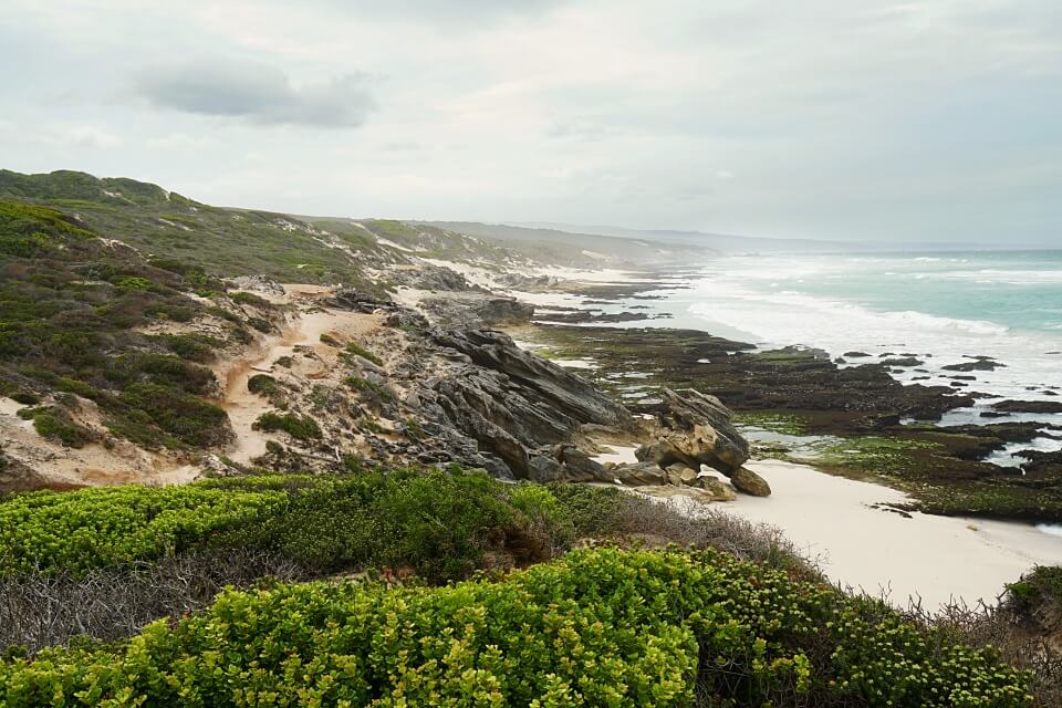 De Hoop Nature Reserve: kleines Paradies im Western Cape